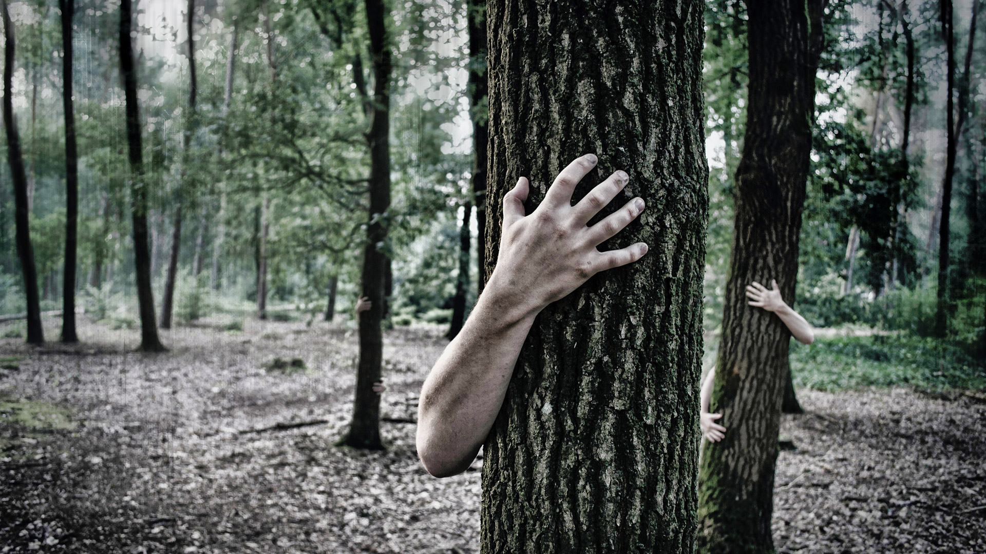 Haunted Orange County - Guided Ghost Tours